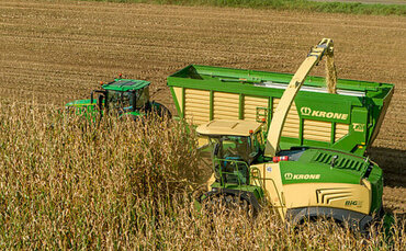 Partner Insight: How to make high-quality maize silage | Farm News ...