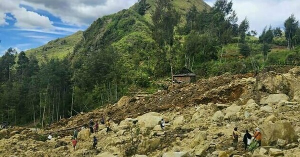 Replanting trees can help prevent devastating landslides like the one ...