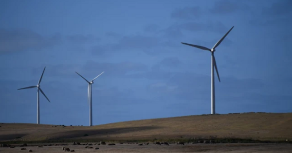 Australia's first wind wind farm set to be shut down