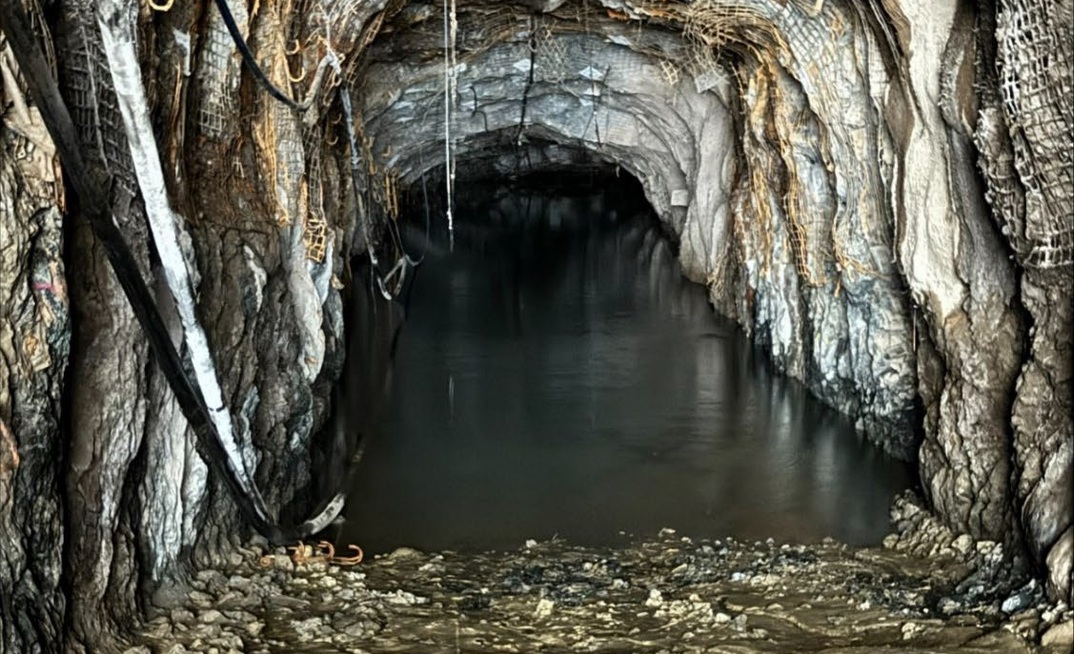 Catalyst forced to pay 'big' to make Zuleika go away