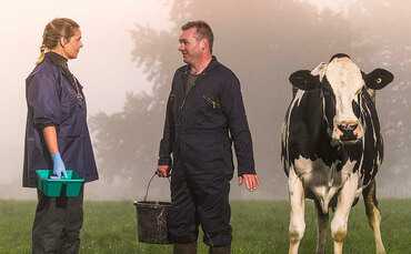 Reviewing mastitis treatments with your vet | Farm News | Farmers Guardian