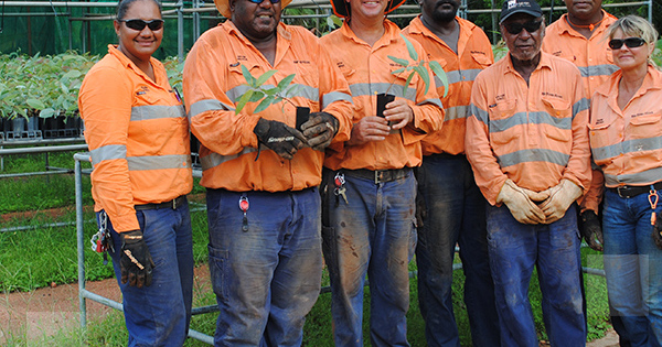 Sodexo to rule Amrun camp