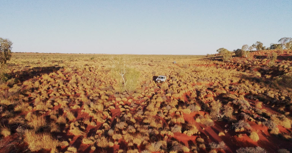 Lynas comparison can be made with regards WA1 and its Luni discovery