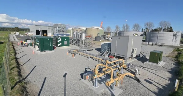 New Zealand Celebrates Renewable Gas Milestone