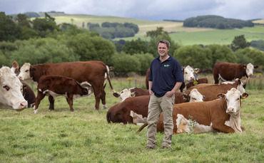 Suckler cow farmer aims to 'work smarter, not harder' through monitor ...