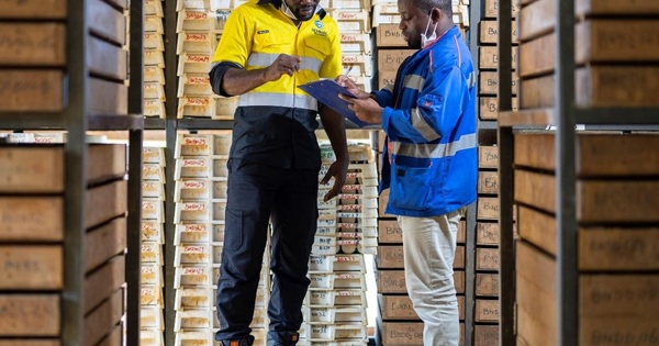 Recapitalised Genmin slumps after ASX return