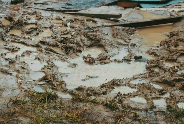 There's an outbreak of melioidosis in north Queensland. Here's what to ...