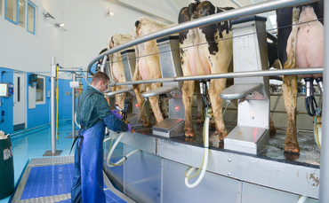 Young people open to careers in farming, but collaboration needed to ...