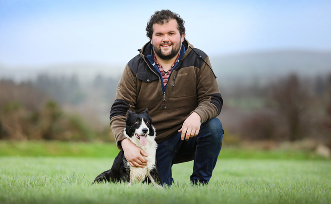 Hampshire Down breed proves backbone of Welsh flock | Farm News ...
