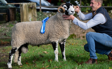 Swaledale rams top at £34,000 | Farm News | Farmers Guardian