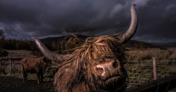 Toro ready to take uranium bull by the horns