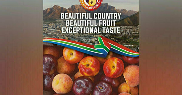 Season's First South African Stone Fruits Arrive in India - A Feast of ...