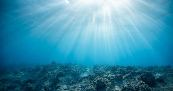 How deep ocean microbes survive without sunlight? Research finds