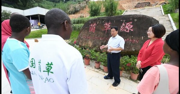 Xi Story: Xi Jinping and China's "magic grass"