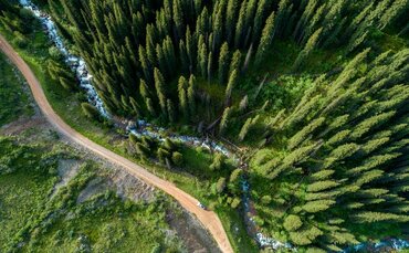 COP27: A quick guide to common terms | BusinessGreen Advertisement