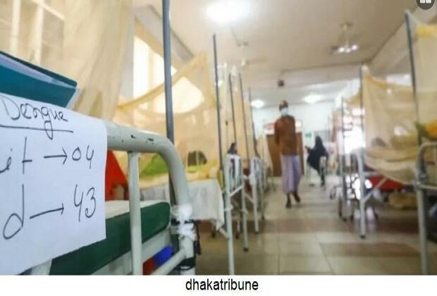 Dengue bites Bangladesh: 2,352 hospitalized, 21 dead in 24 hours