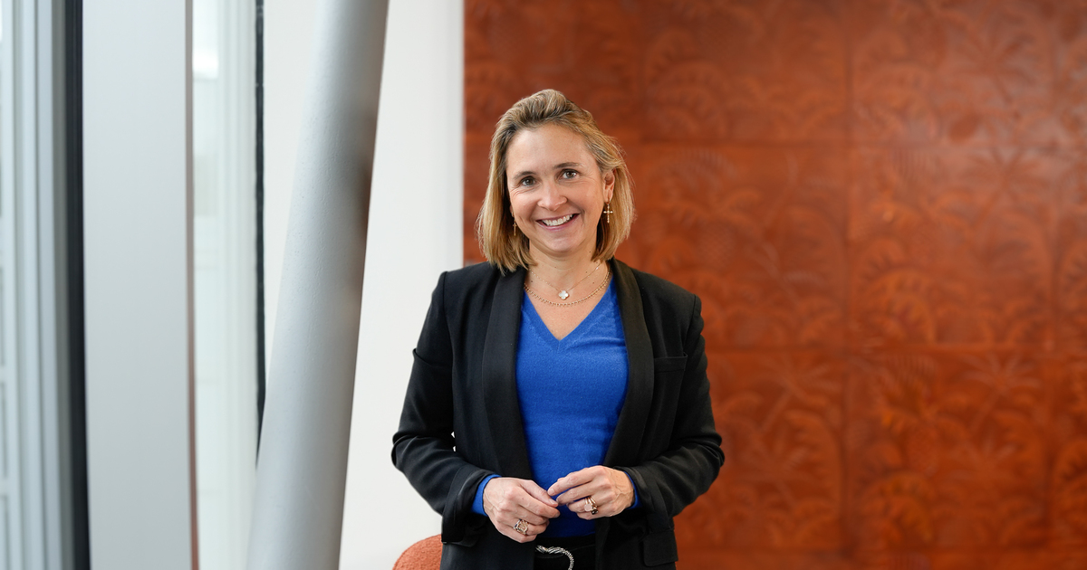 Mirova co-founder departs to lead Edmond de Rothschild AM private ...