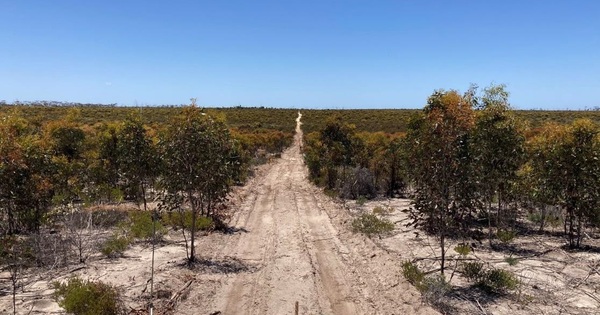 Heavy Rare Earths adds more meat to Cowalinya Heavy Rare Earths adds more meat to Cowalinya