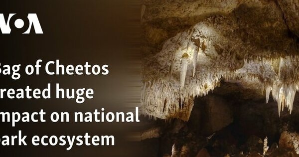Bag of Cheetos has huge impact on national park ecosystem
