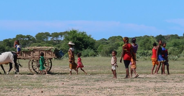 BlackEarth DFS predicts boom times for Maniry