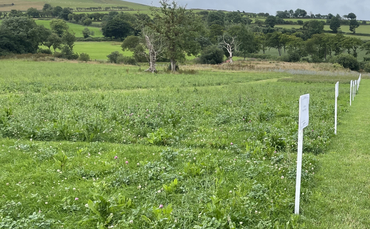 FFX Scotland: Top tips for successful on-farm trials | Farm News ...