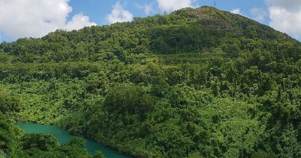 Impressive numbers for Kingston's Misima