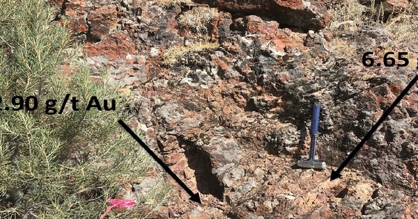 Gold Standard up on LT results