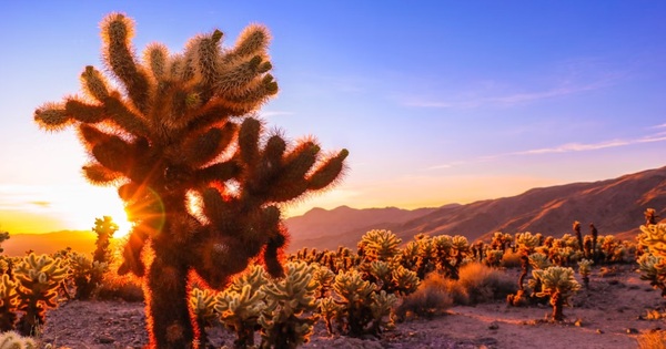 Great Northern rockets on Mountain Pass move