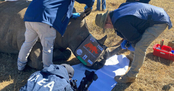 Nuclear Science and Nuclear Security Infrastructure to Protect Rare ...