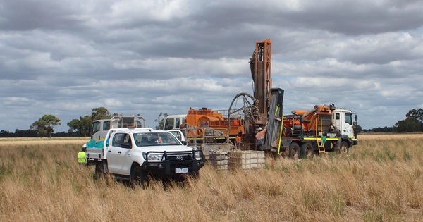 Falcon takes flight after discovery in Victoria