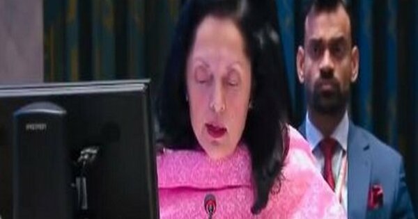 No military or armed solution to Libya's issues: India at UNSC