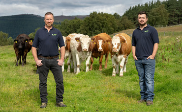 Virtual fencing project sees hill land flourish on Scottish monitor ...