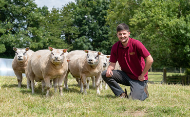 Young breeder develops Beltex from commercial to pedigree flock | Farm ...