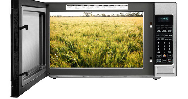 Microwaving weeds shows promise