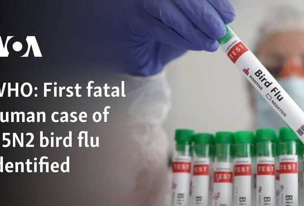 WHO: First fatal human case of H5N2 bird flu identified