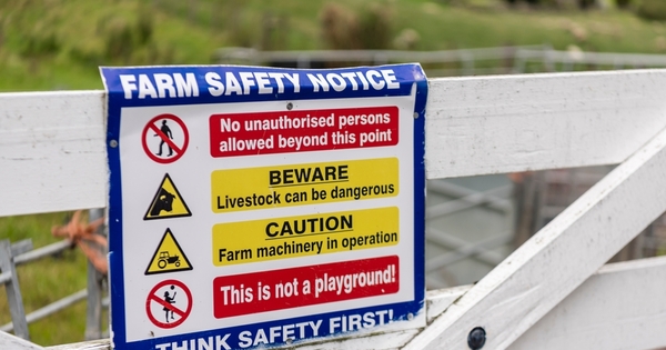Calls for urgent action as on-farm deaths rise