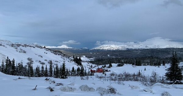 Newcrest in new Red Chris discovery