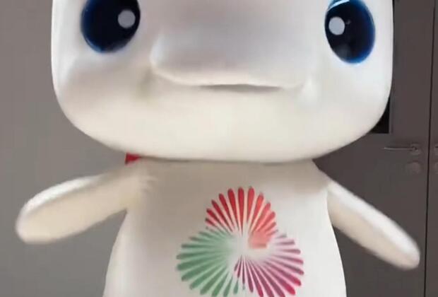 Meet mascots that go viral on Chinese social media