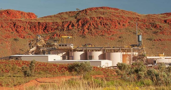 Gold stocks lose ground