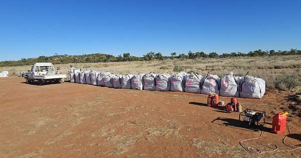 Red Metals Sybella Deposit: A Game-Changer in Rare Earths Market