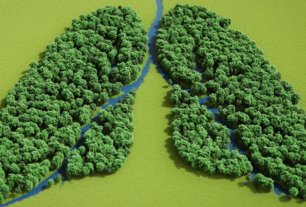 Early screening and management: Safeguarding lung health