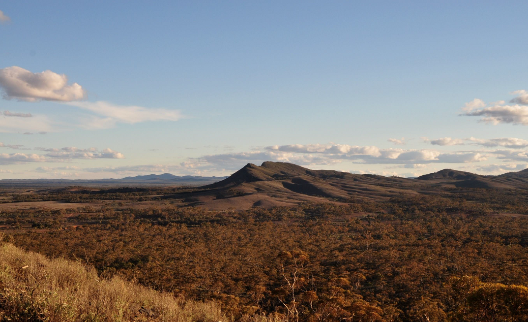 RFC offers Razorback farm-in