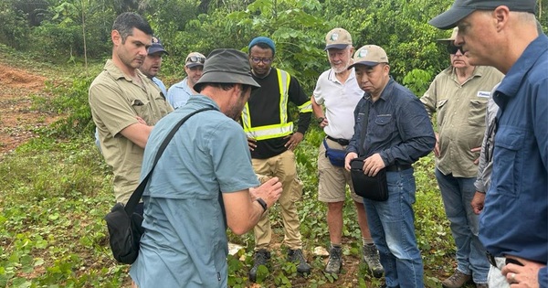 Turaco ticking all the right M&A boxes with deal to increase stake in ...