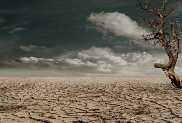 France loses up to 35 per cent of vegetable crops due to drought ...