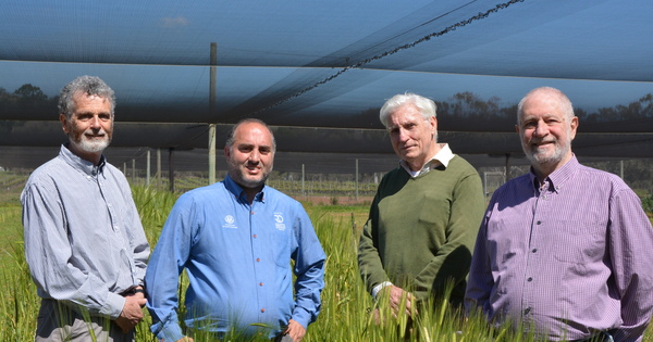 New guide released on water use for dryland cropping