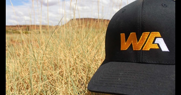 WA1 hits new high on best Luni hit