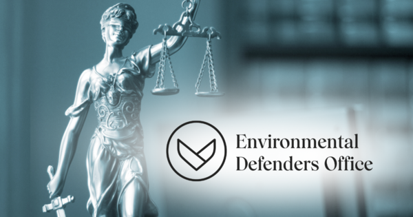 Environmental Defenders Office's financial report reveals legal bill damage