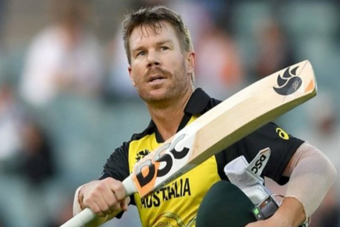 David Warner in 'Pathaan'? Check out this video of Aussie cricketer to ...