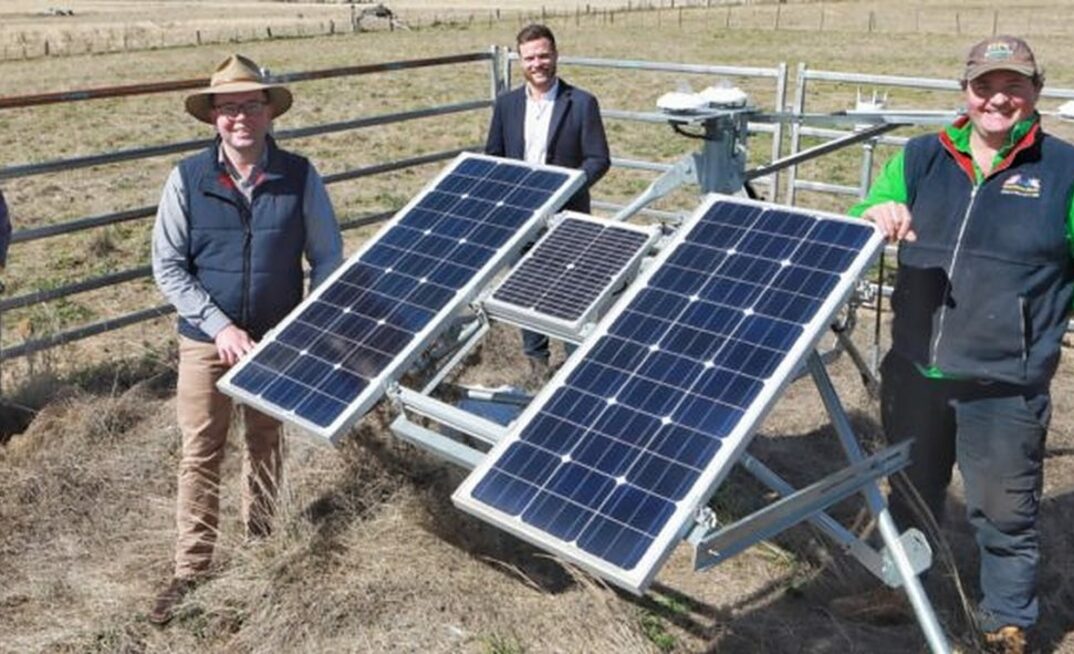 Elecnor wins EPC contract for New England Solar Farm
