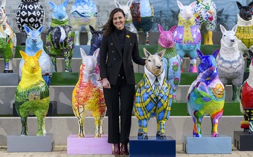 Flock to the Show | Farm News | Farmers Guardian